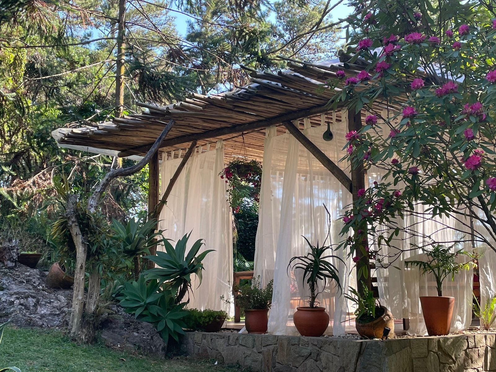 Uma área externa coberta com pérgola de madeira, plantas em vasos e parede de pedra.