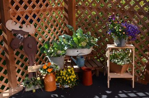 Terraço/pátio interior