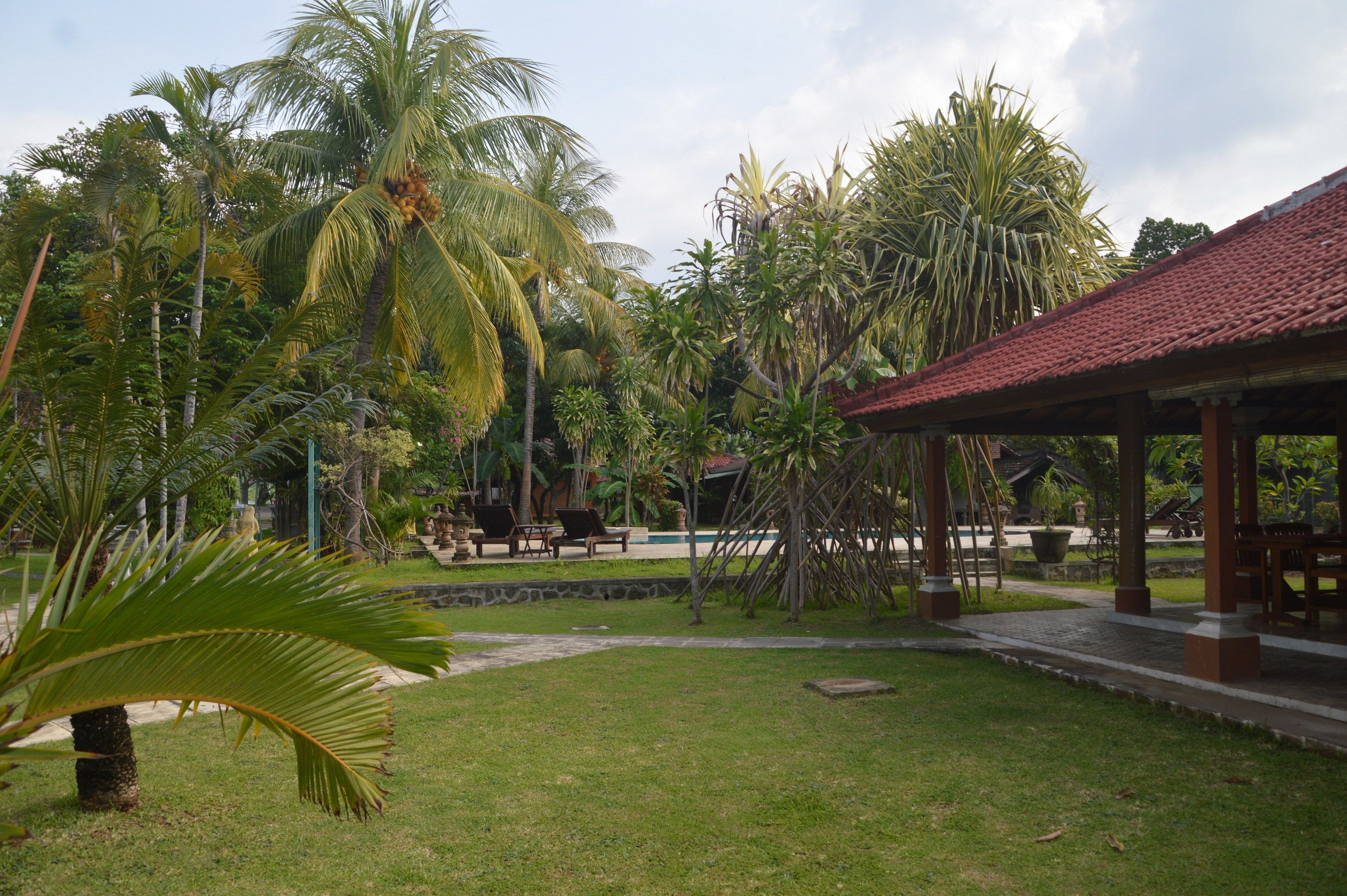 Jardim