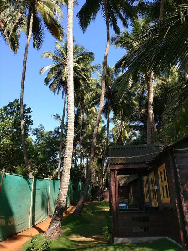 ザ クール ハッツ - ゴア