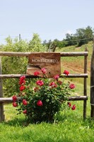 Terrenos do alojamento