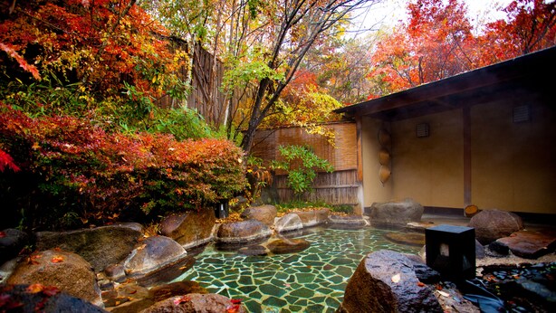 Um jardim japonês tradicional com lago de carpas, pedras e folhagem outonal.