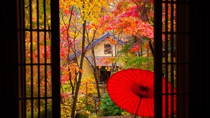 Uma casa tradicional japonesa com um guarda-chuva vermelho em frente.