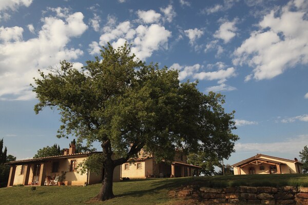 Agriturismo Belvedere Pierini E Brugi - Tuscany