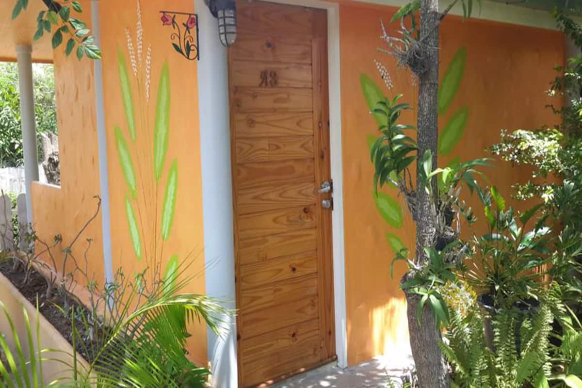 Uma porta de madeira com um número, um pequeno alpendre com plantas e uma árvore.
