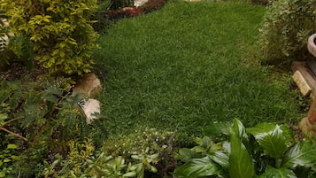 Dormitório compartilhado básico, em dormitório misto, banheiro compartilhado, vista para o jardim | Vista do quarto