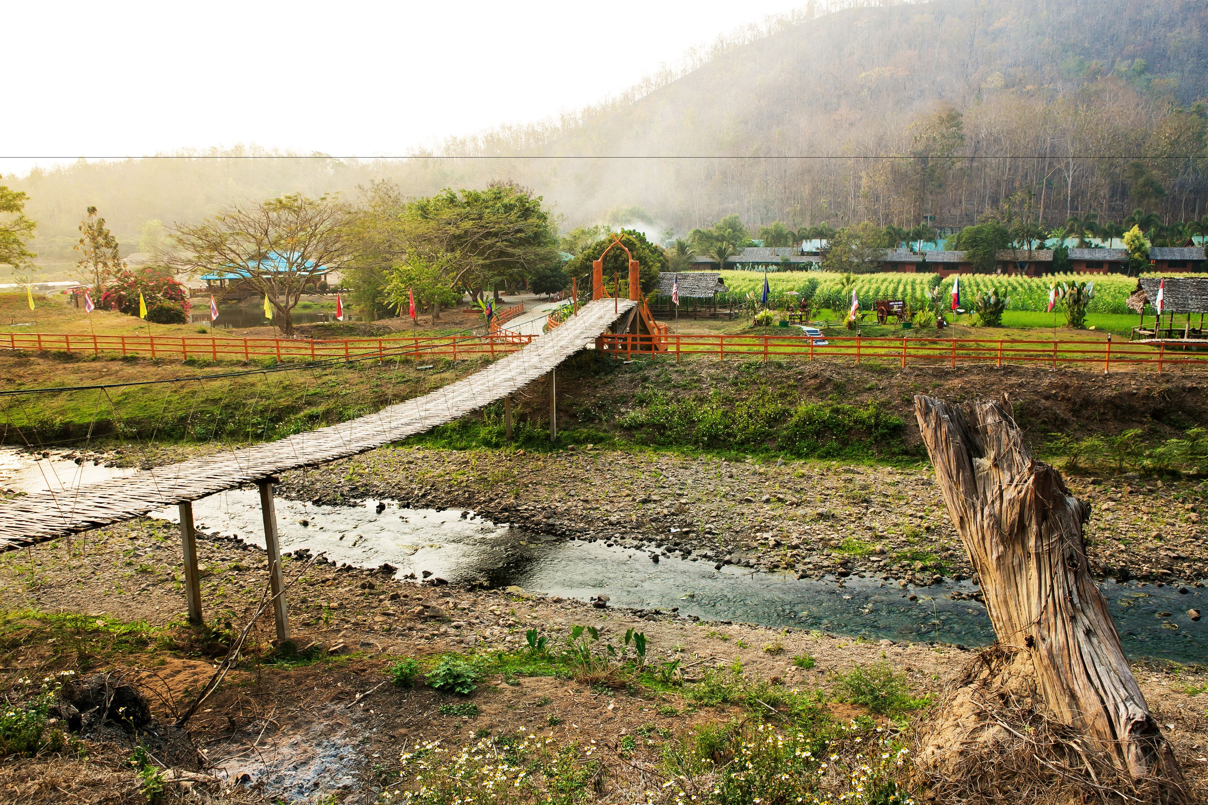 Uma ponte de madeira rústica sobre um riacho, cercada por vegetação e um fundo com névoa.