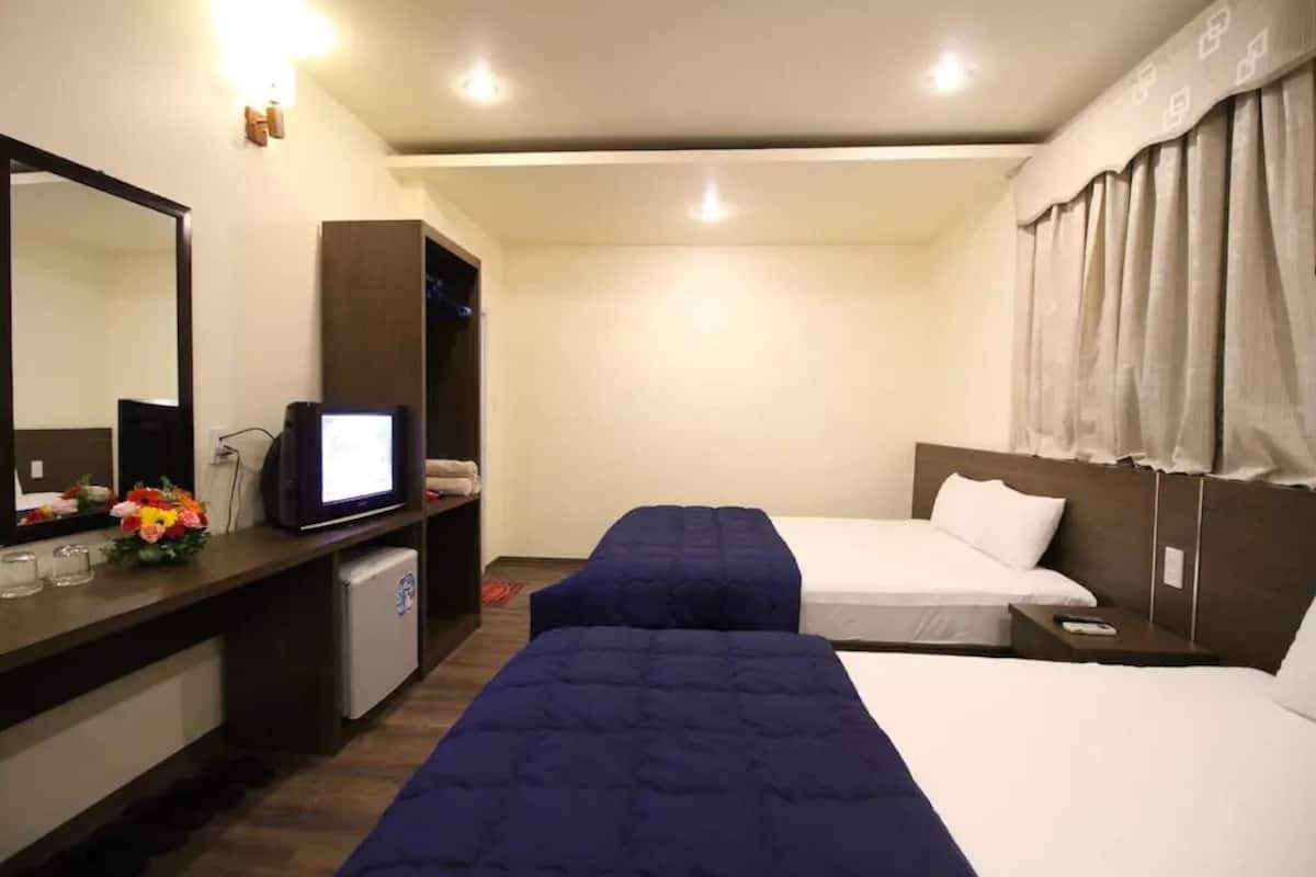Quarto de hotel com duas camas, televisão, mini-geladeira e espelho.