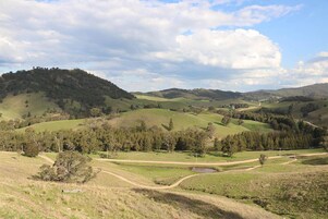 Paisagem rural com colinas onduladas, uma trilha de terra e árvores espalhadas.