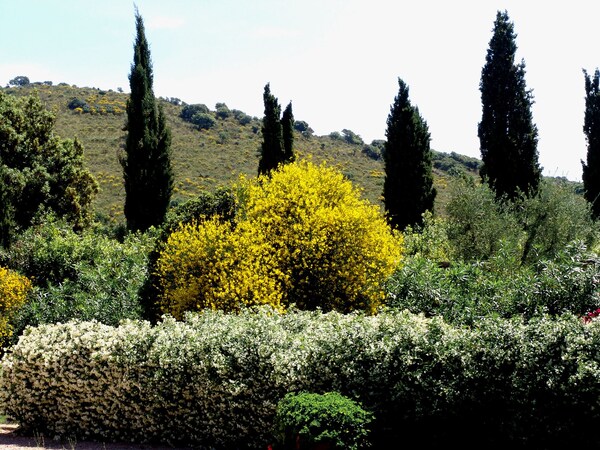 Agriturismo Fattoria Il Casalone - Toskana