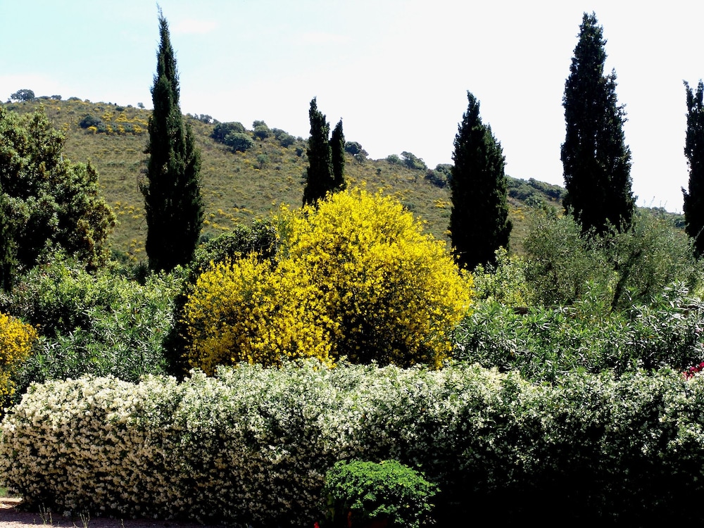 Agriturismo Fattoria Il Casalone - Toskana