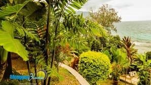 Um jardim exuberante com diversas plantas tropicais e vista para o mar.