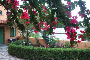 Terrenos do alojamento