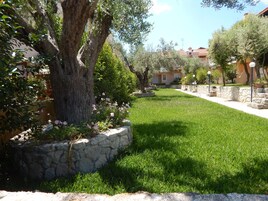 Casa, 3 quartos | Terraço/pátio