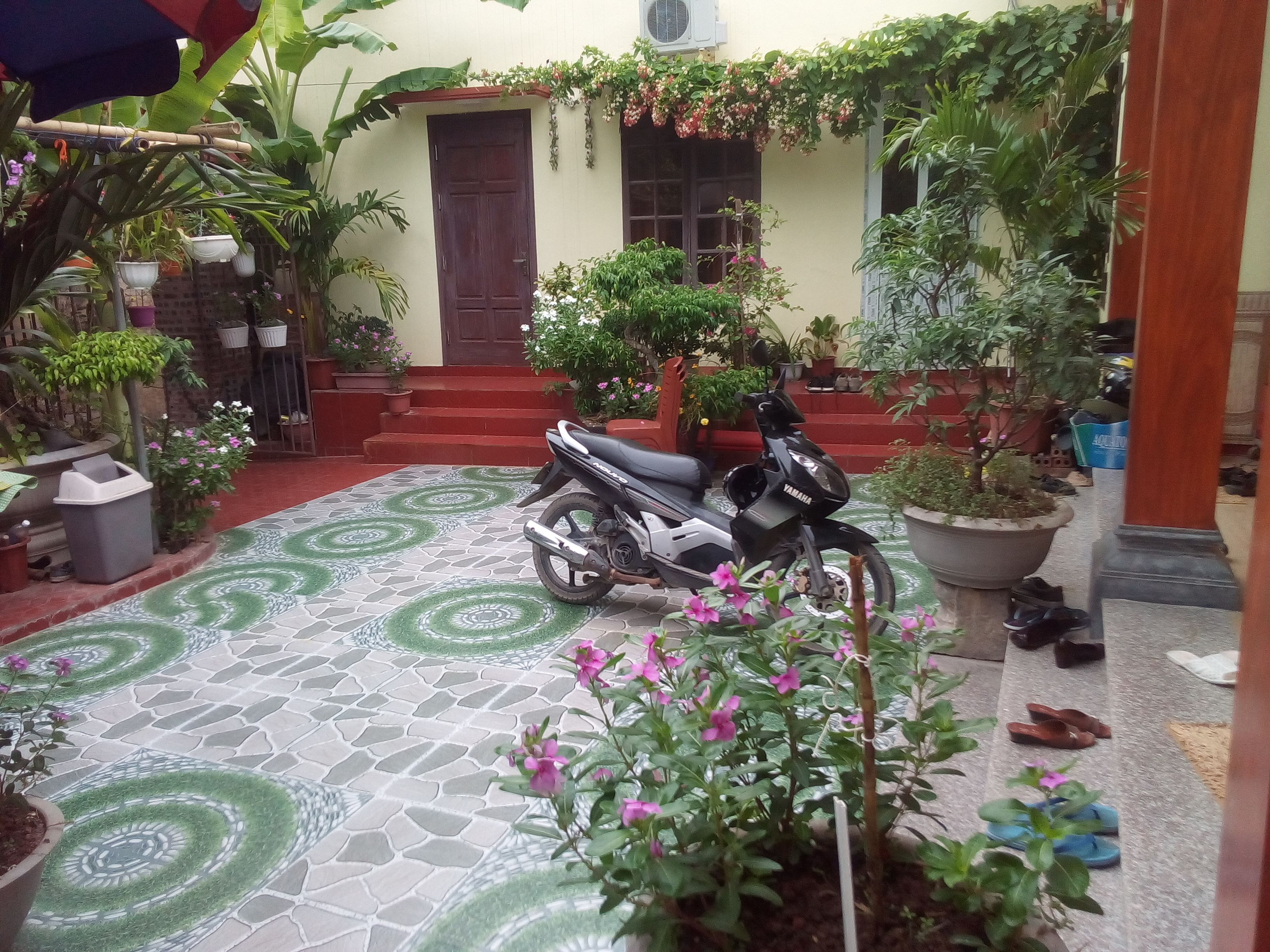 Scooter/bicicletas motorizadas