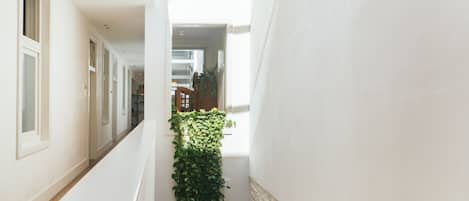 Terraço/pátio interior