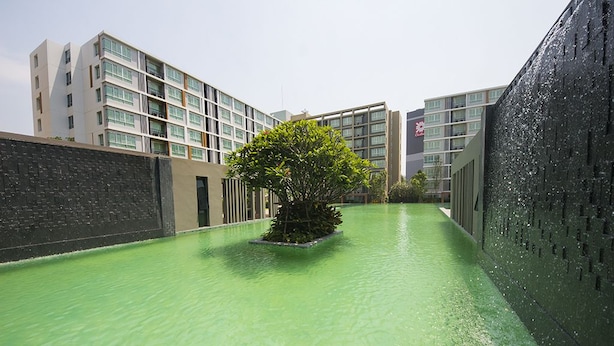 Um edifício moderno com área de piscina verde, uma árvore central e uma parede de tijolos.