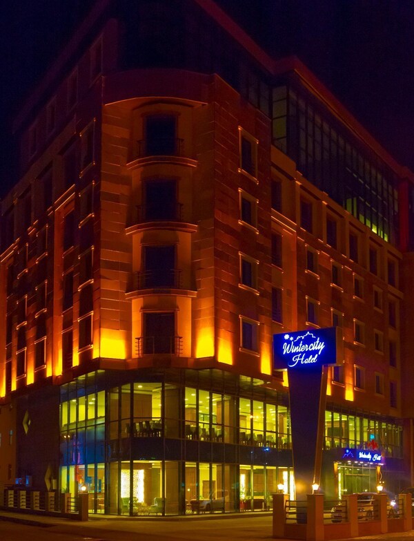 Winter City Hotel - Kars
