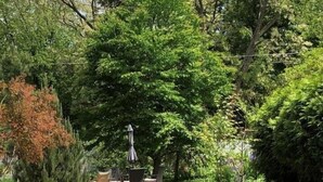 Um jardim com um caminho sinuoso, uma mesa e cadeiras, e diversas plantas.