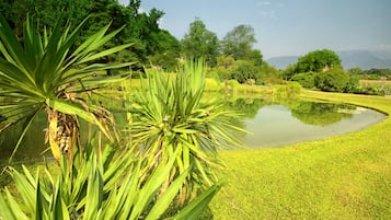Lago