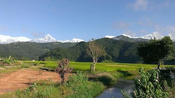 Vista para a montanha