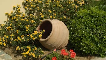 Jardim