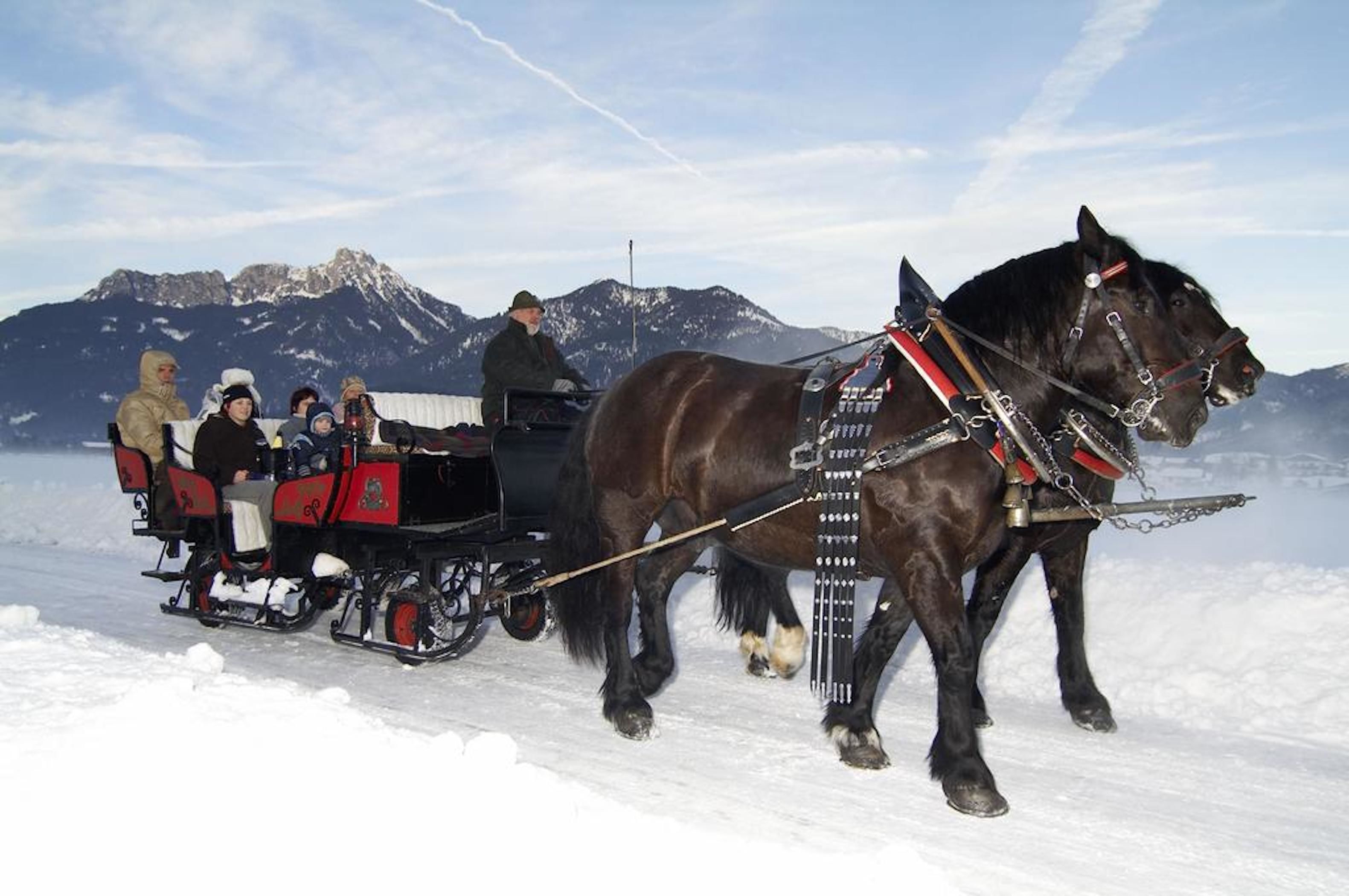 Um trenó puxado a cavalo com passageiros em uma paisagem nevada com montanhas ao fundo.