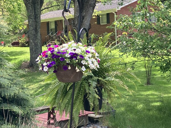 The Ashe Farm Bed & Breakfast - North Carolina