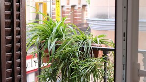 Uma varanda com plantas em vasos e vista para um edifício com uma placa amarela.