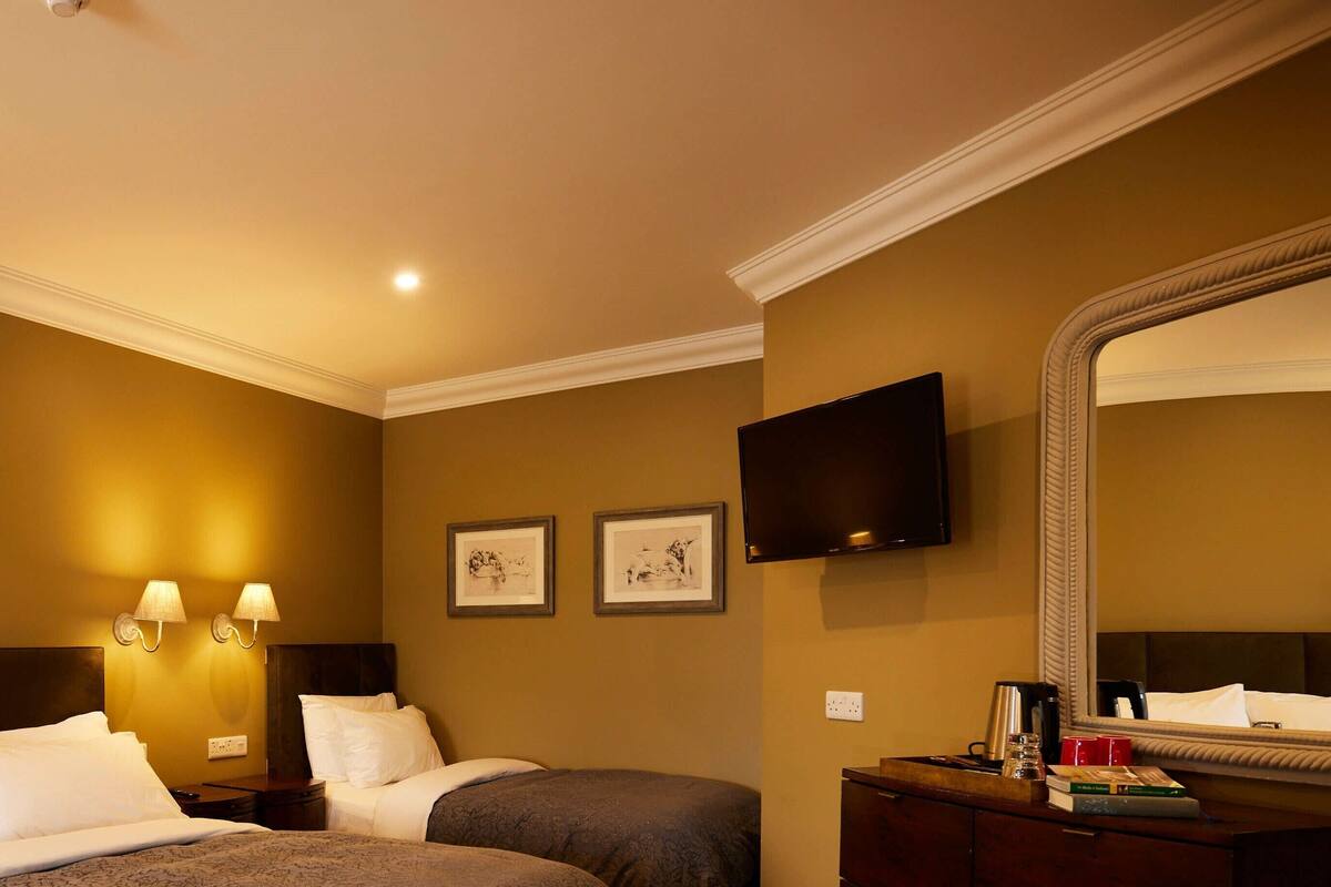 Quarto de hotel com duas camas, uma TV de tela plana, um espelho grande e obras de arte fixadas na parede.