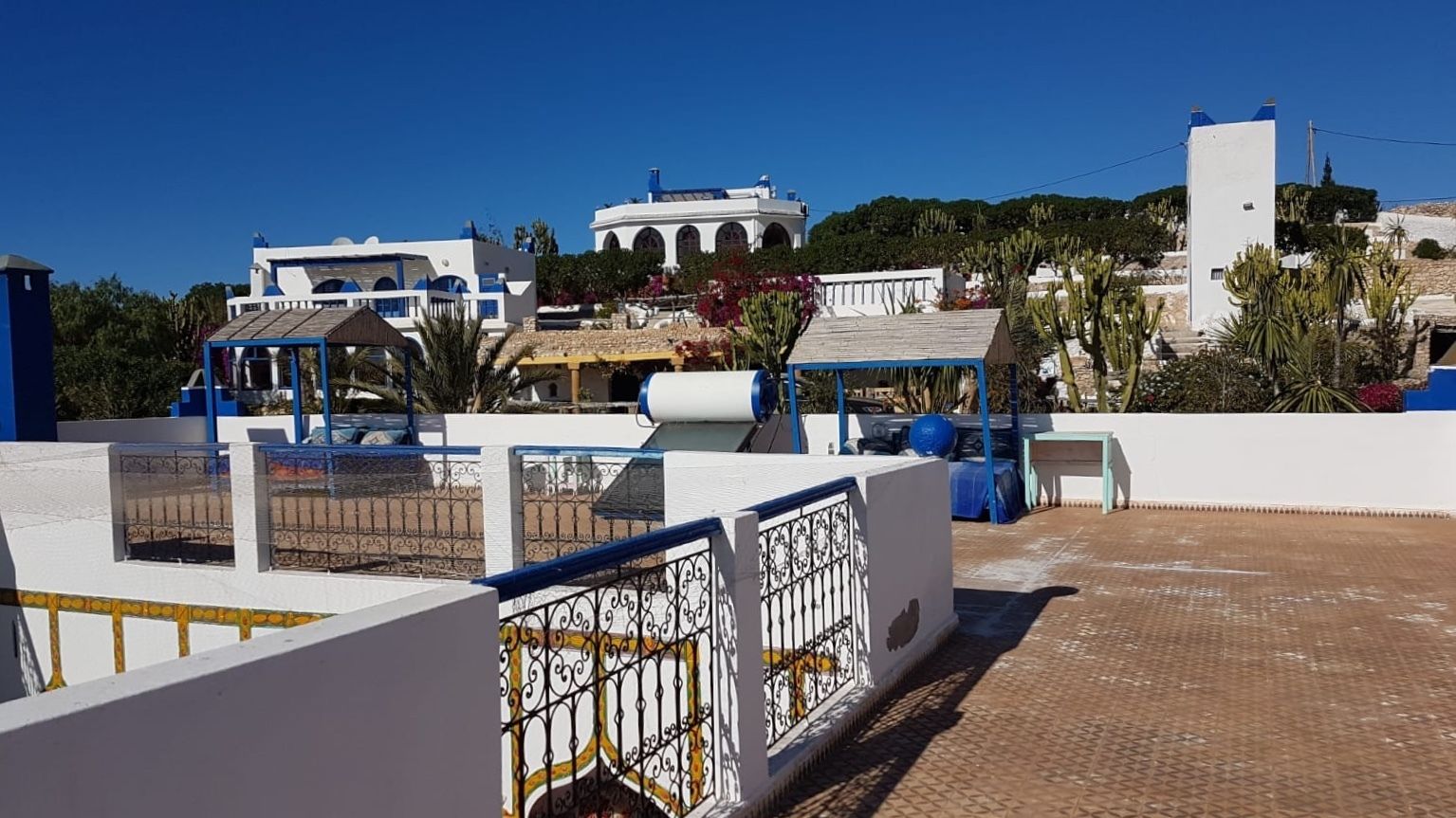 Terraço no telhado com vista para edifícios, uma pérgula e um jardim de cactos.