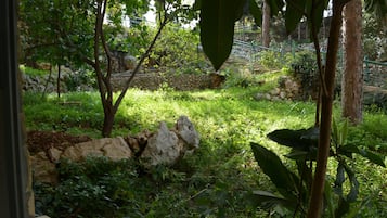 Jardim