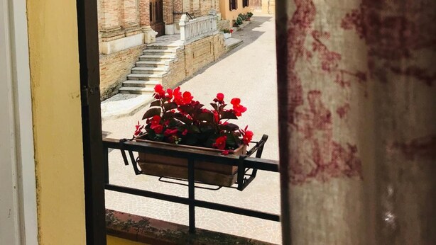 Vista de uma rua com um edifício, destacando uma escadaria e um vaso de flores em primeiro plano.