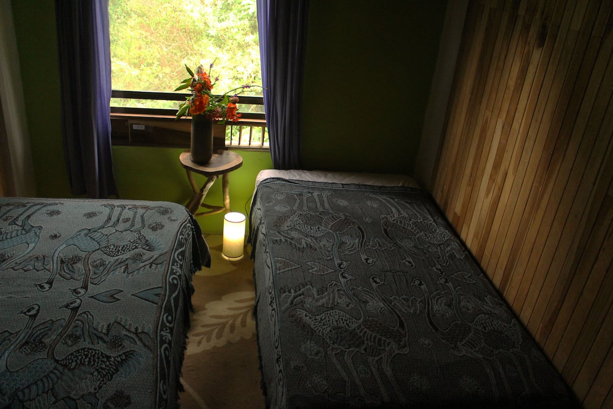 Quarto com duas camas, janela com cortinas, uma mesinha com um vaso de planta e uma luminária.