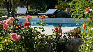 Piscina externa sazonal