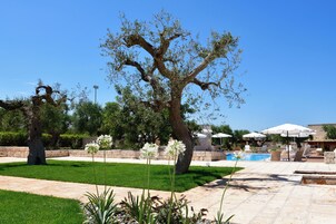 Piscina exterior, espreguiçadeiras 