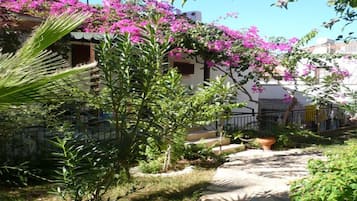 Jardim