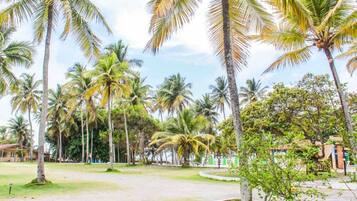 Jardim
