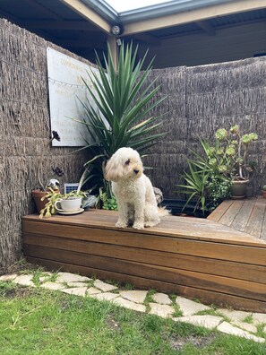 Quarto Duplo ou Twin Tradicional | Terraço/pátio interior