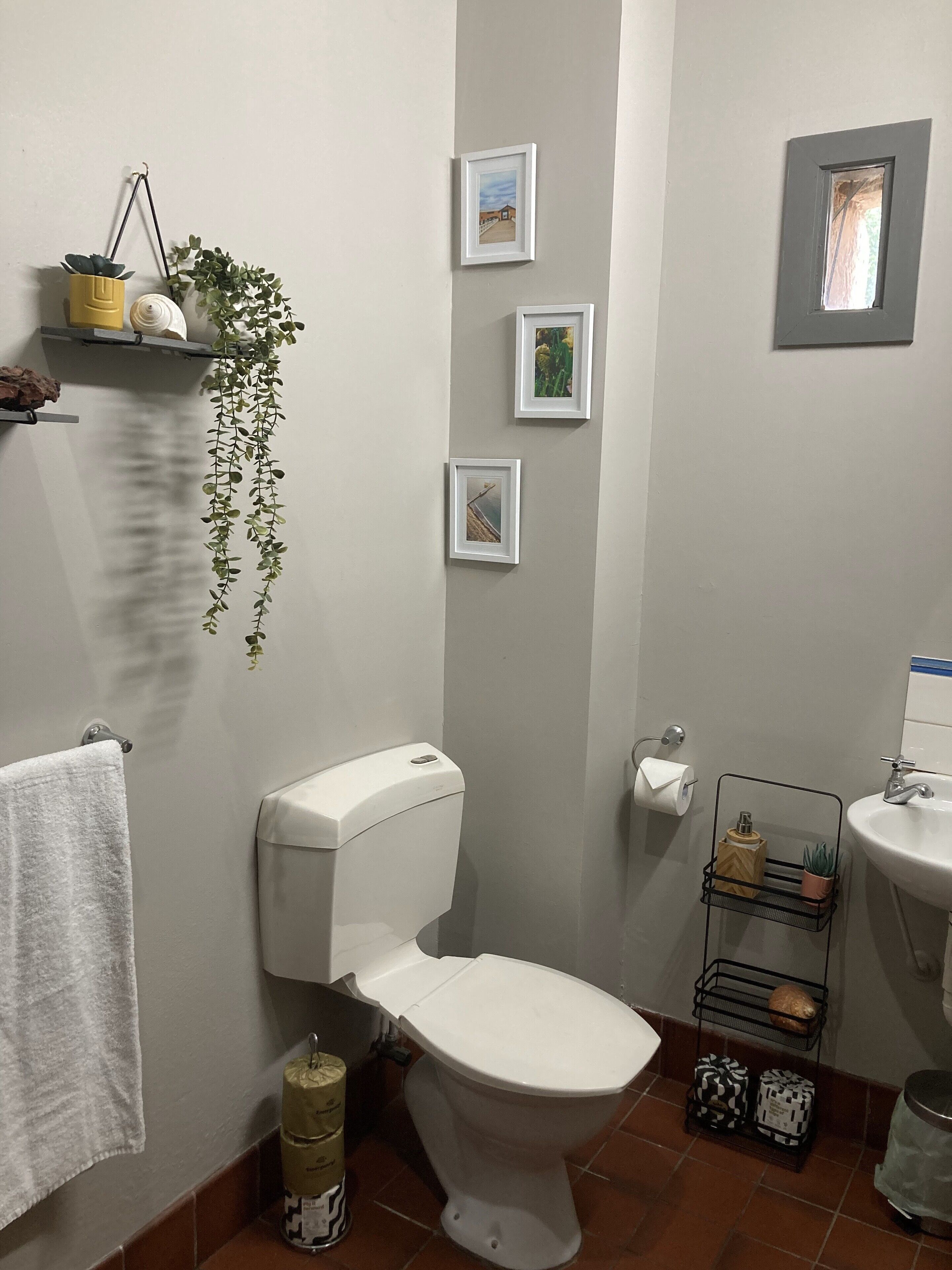 Casa de banho com sanita, lavatório e prateleiras com plantas.