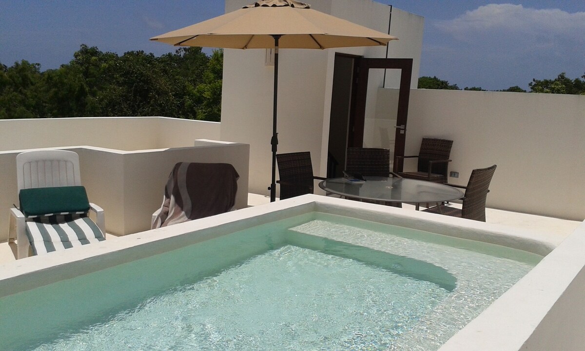 Penthouse - Private Jacuzzi, Rooftop Private Pool Reviews, Deals ...