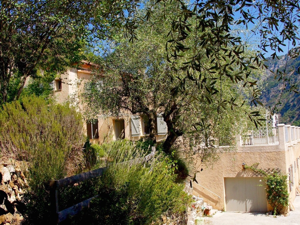 Le Mont D'olivine - Alpes-Maritimes