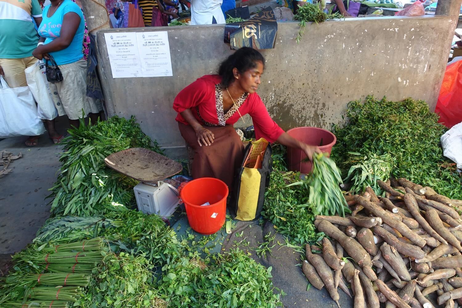 Cena de mercado com diversos vegetais e uma mulher separando produtos.