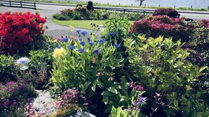 Um jardim paisagístico com diversas flores coloridas e vista para um lago e montanhas ao fundo.