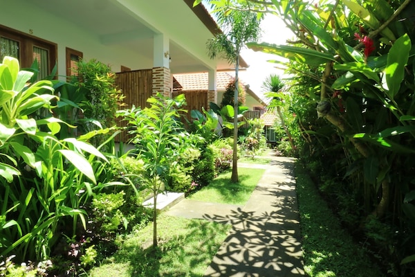 Entrada