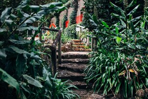 Área da propriedade