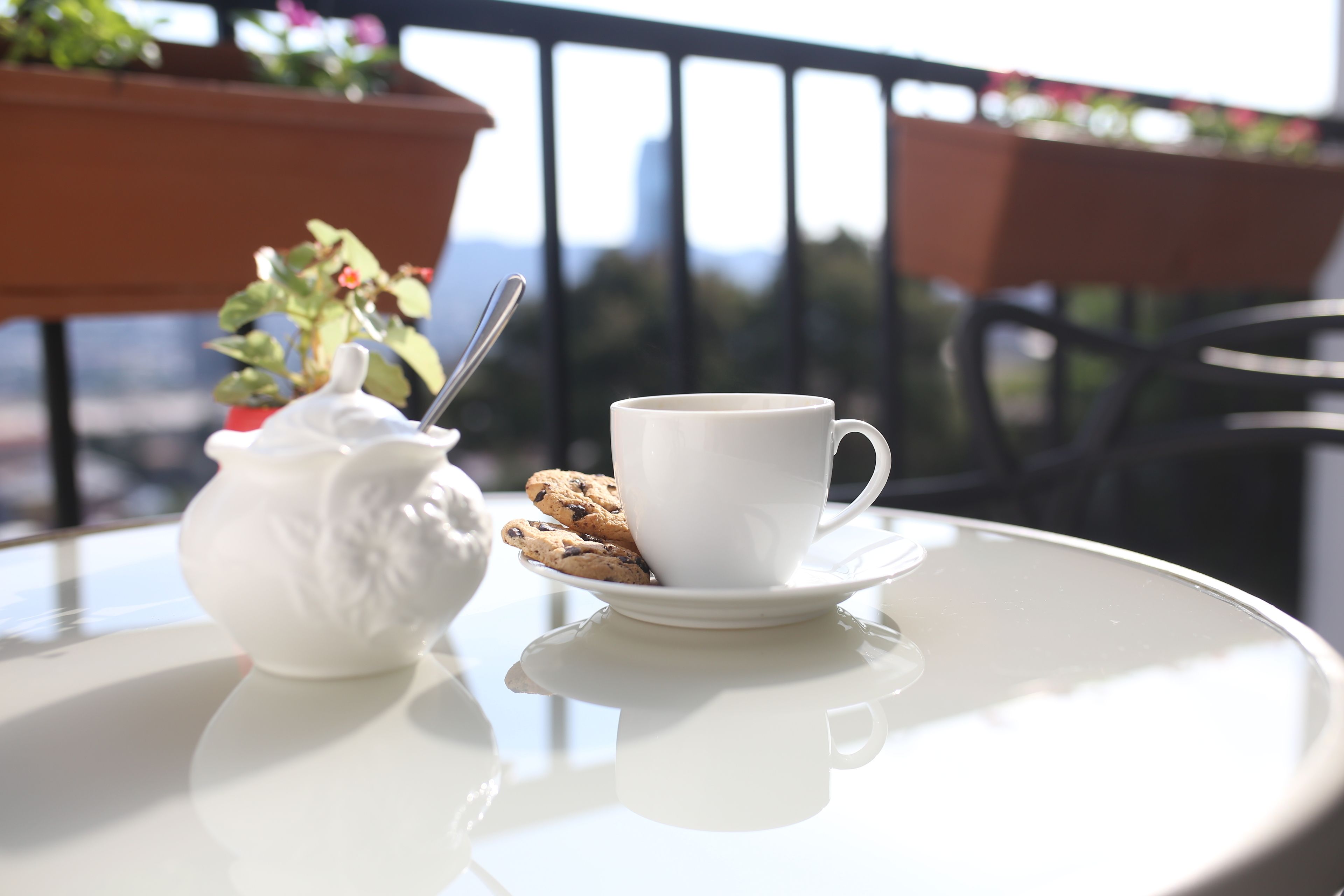 Um bule branco e uma xícara sobre uma mesa, com um prato de biscoitos.