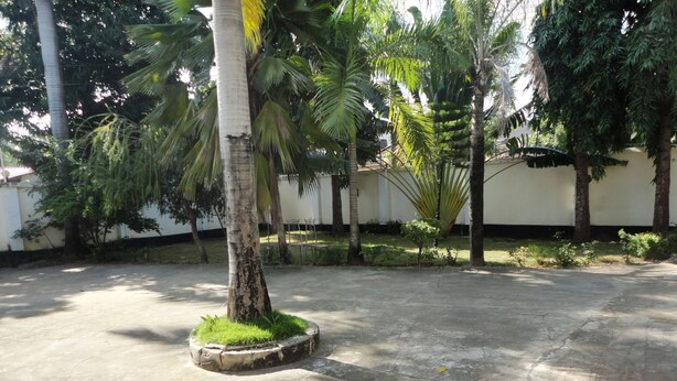 Um pátio com palmeiras, piso de concreto e um edifício branco com detalhes pretos ao fundo.