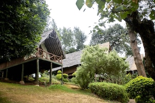 Vista para o jardim