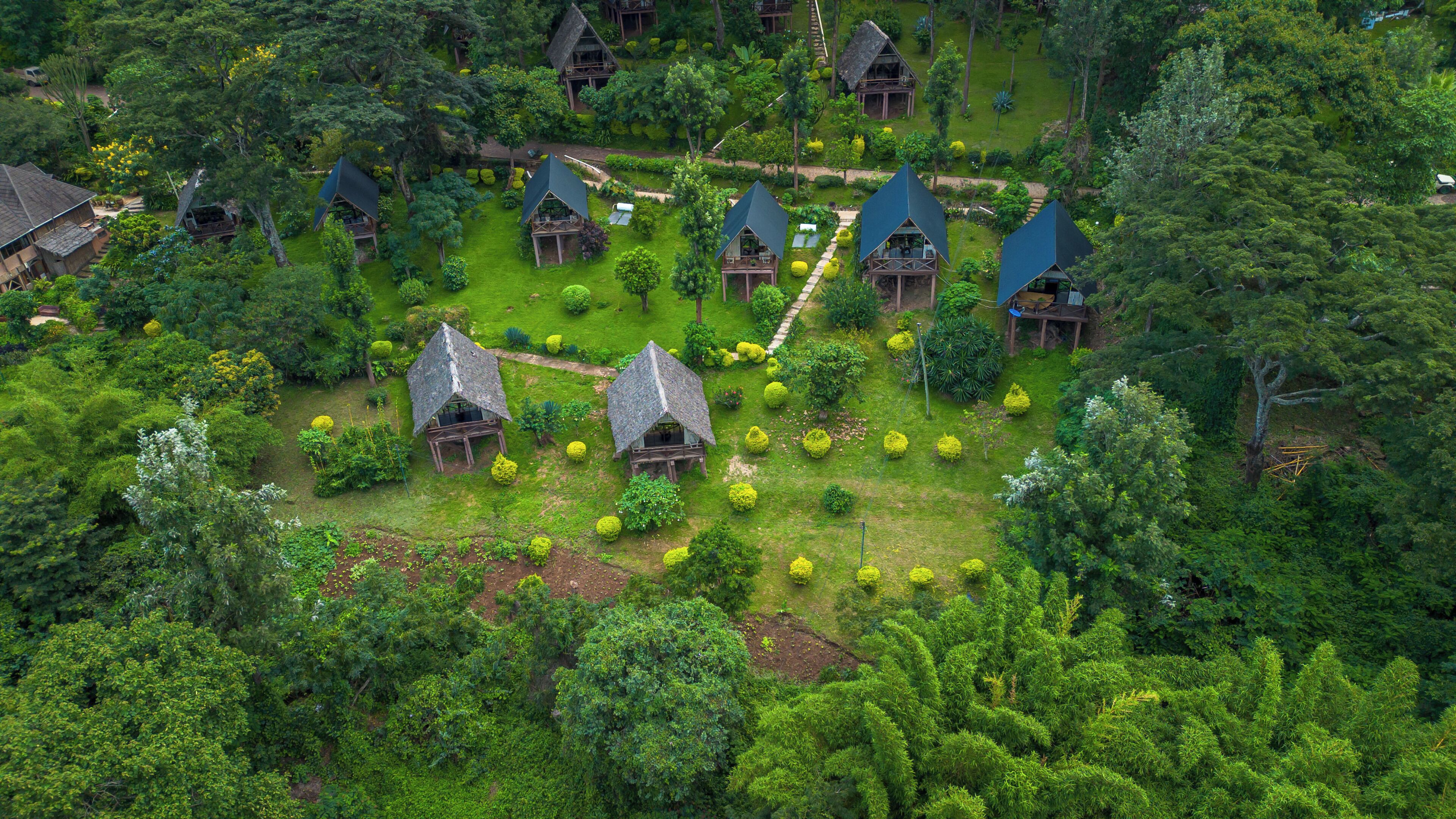 Vista aérea de um resort com várias acomodações em casas na árvore, cercado por vegetação exuberante.